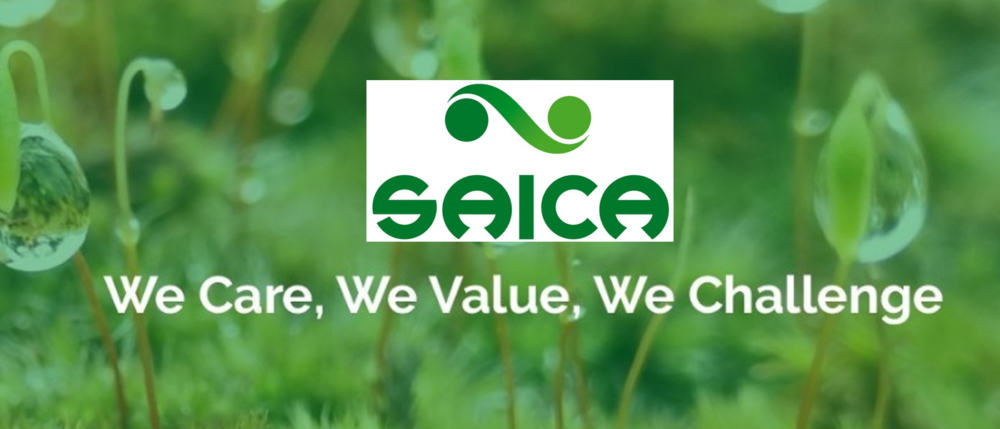 Saica | Sales Recruitment Specialists | BMS Performance